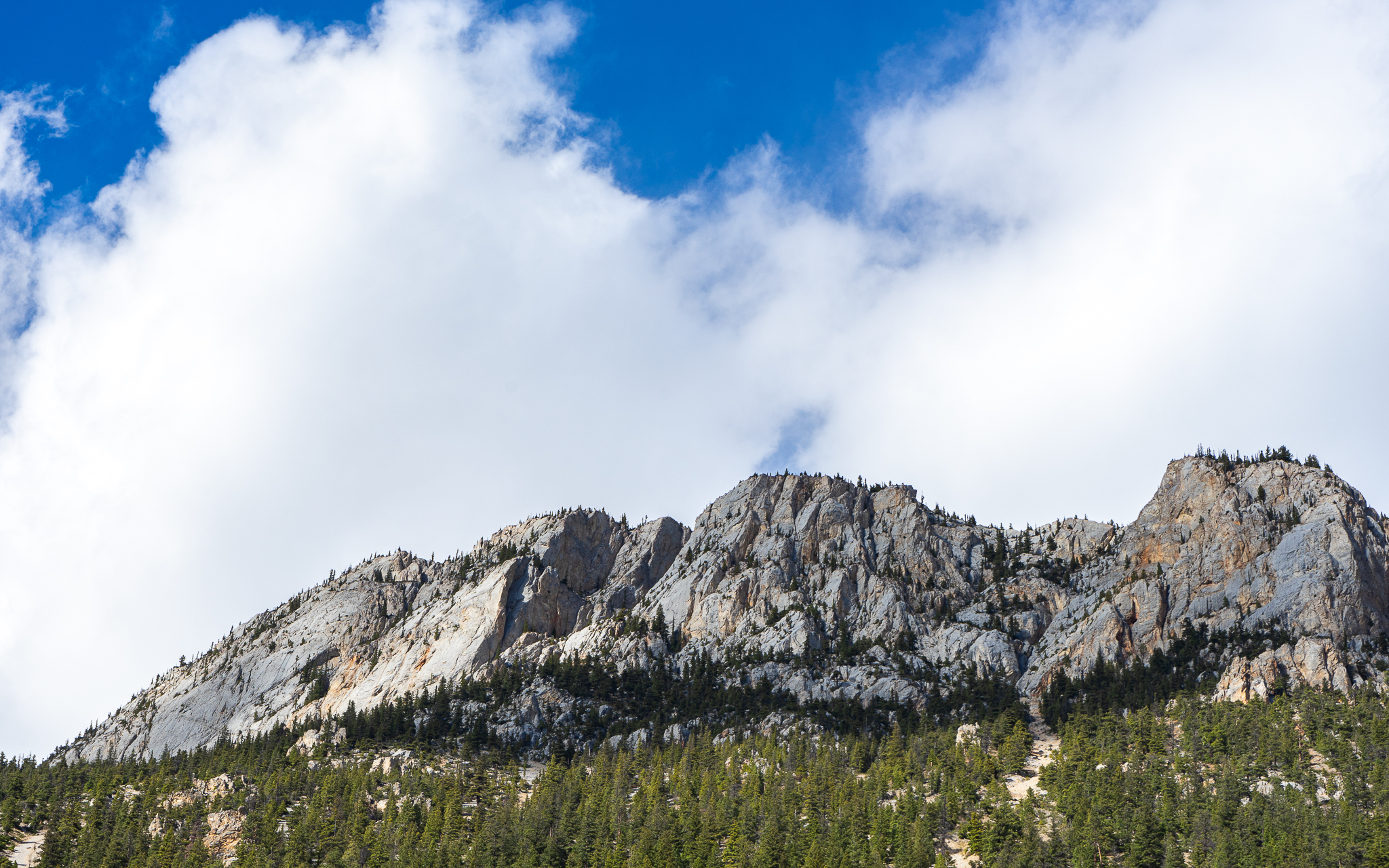 Our Culture - Digital Vibe